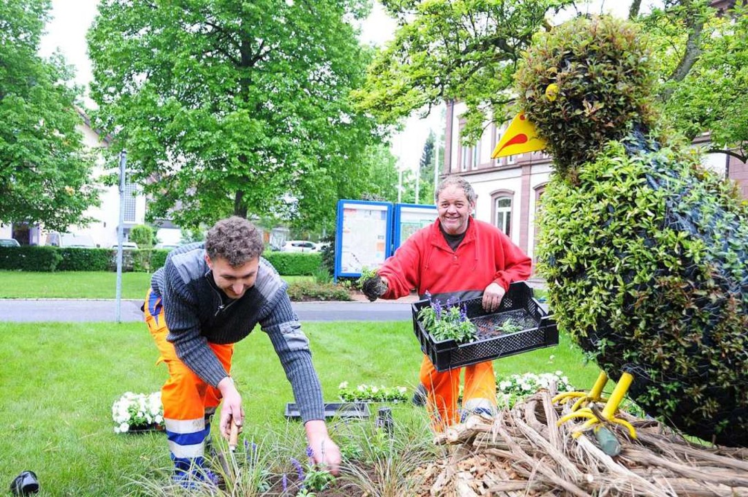 Die Gemeinde Steinen blüht auf - Steinen - Badische Zeitung