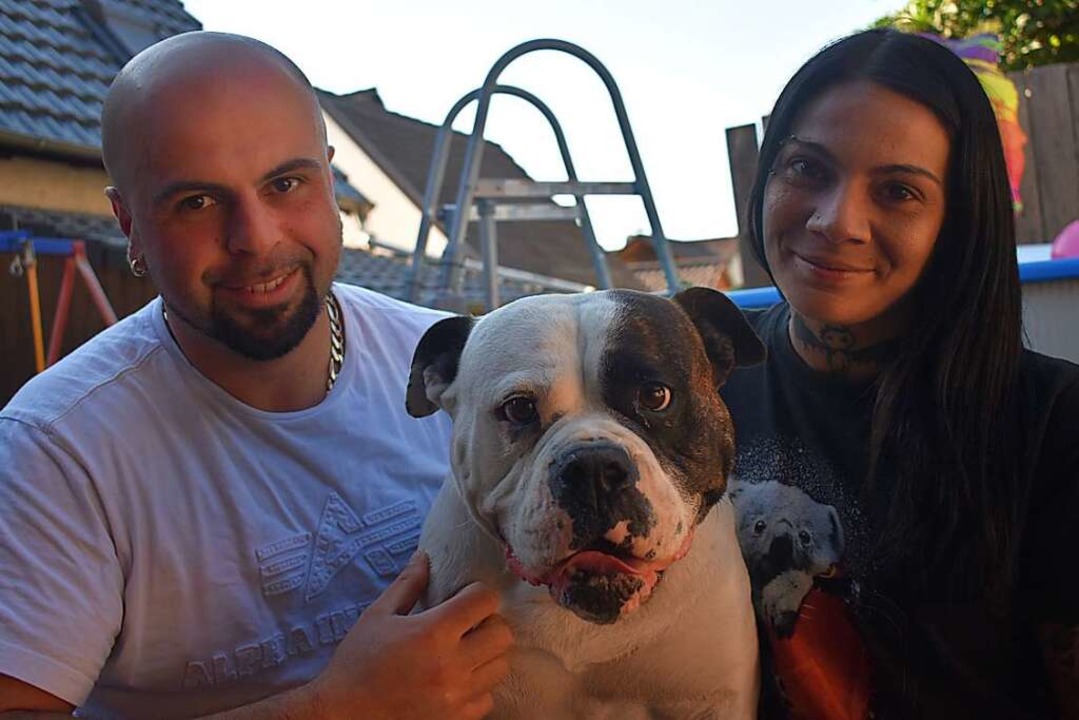 Bulldogge Cira ist kein Kampfhund, sondern Familientier - Friesenheim ...