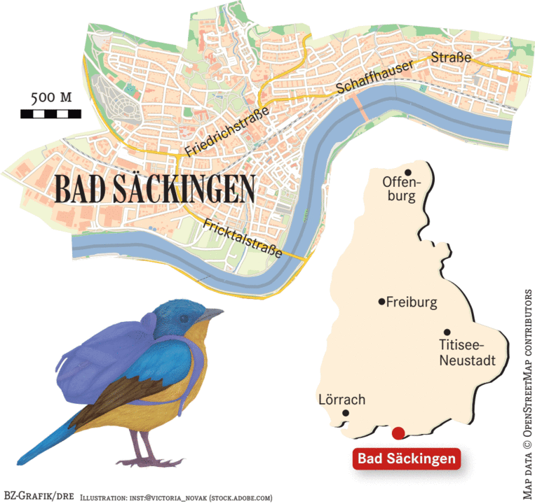 Bad Säckingen sieht sich so farbenfroh wie ein Kaleidoskop - Bad ...