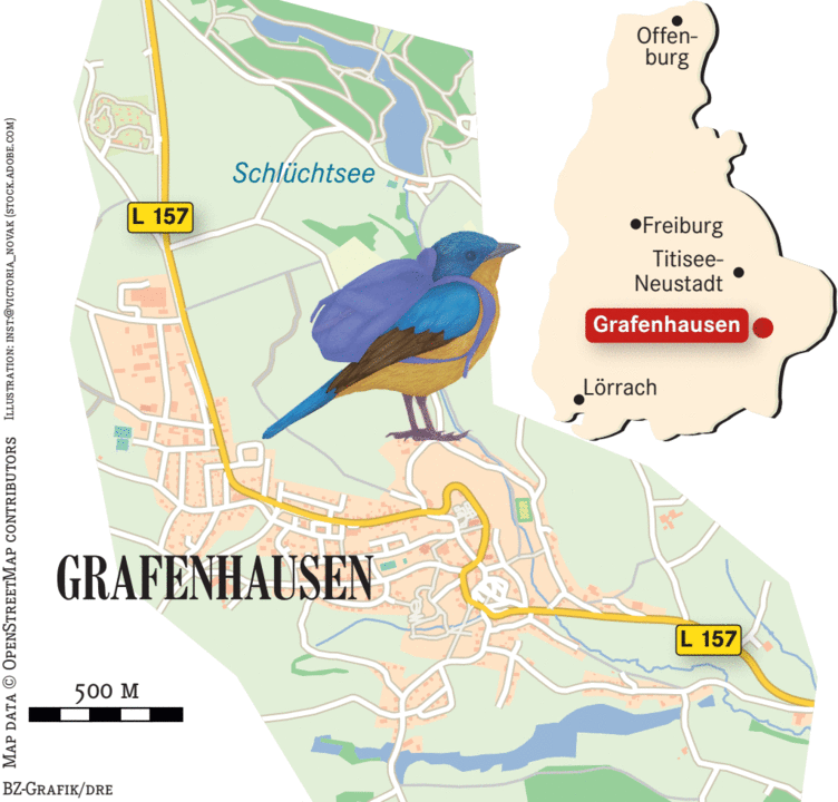 Grafenhausen bietet Natur, Kunst, Historie und Bier - Grafenhausen ...