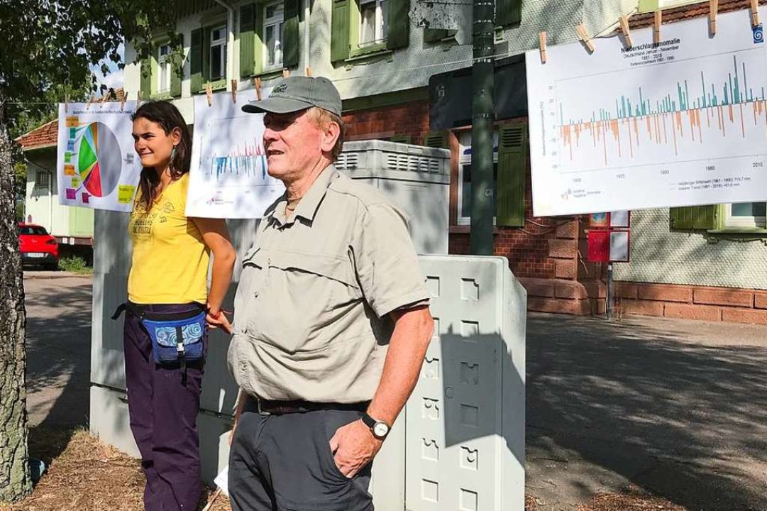 Die Eibe erlebt im Hochschwarzwald eine Wiedergeburt - Buchenbach ...