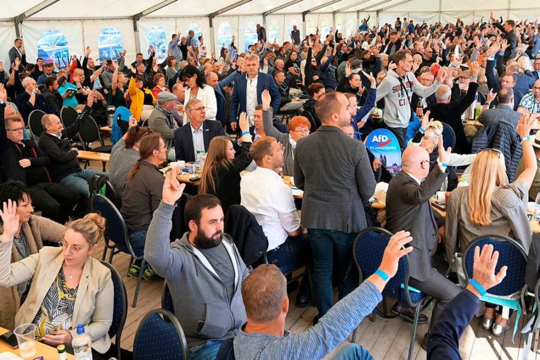 Die AfD beharrt trotz Pandemie auf Präsenz-Parteitagen - Deutschland ... Die AfD beharrt trotz Pandemie auf Präsenz-Parteitagen - Deutschland ...