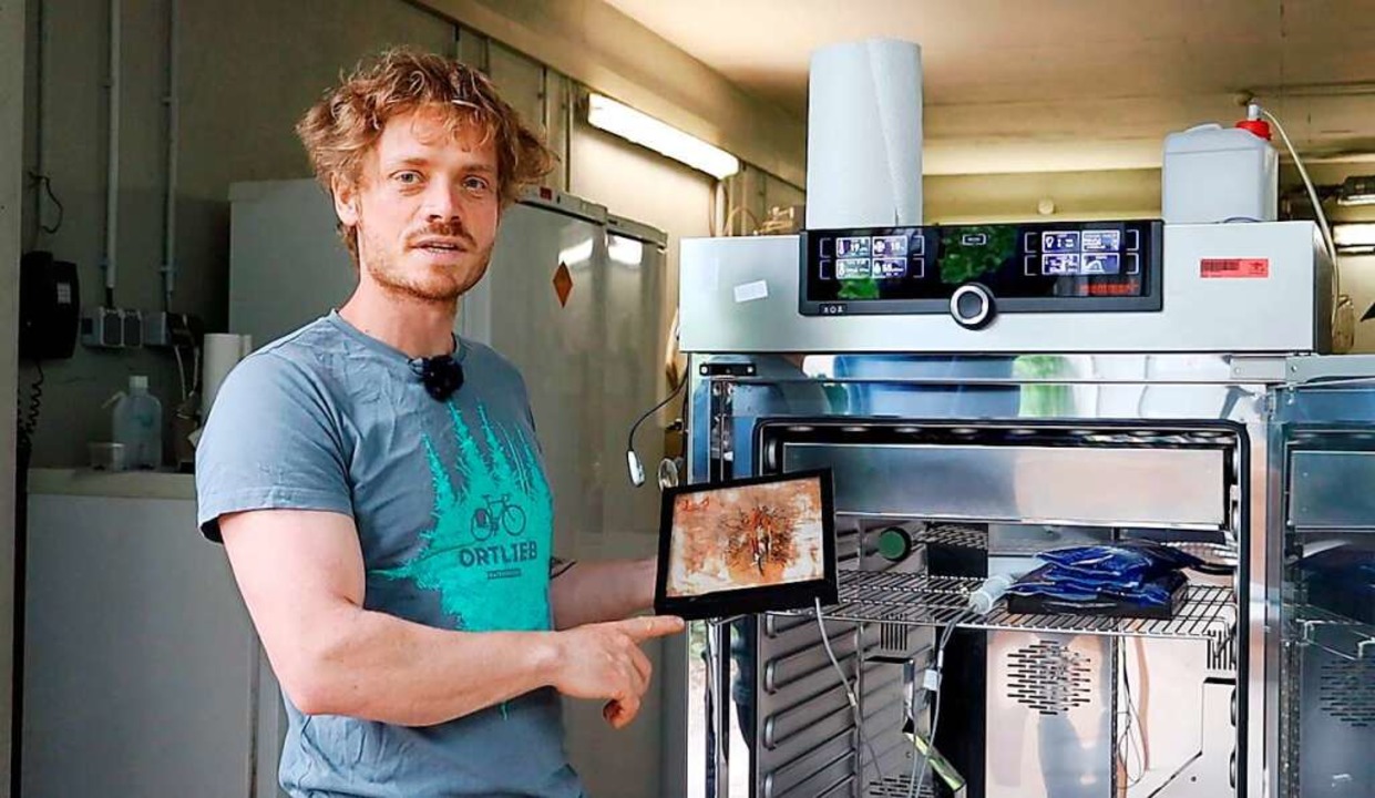 Das Wetter bremst den Borkenkäfer in der Region Freiburg aus - Kreis ...