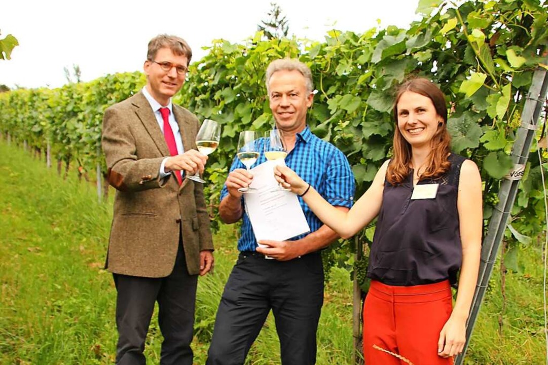 Beste Piwi-Weine am Weinbauinstitut Freiburg ausgezeichnet ...