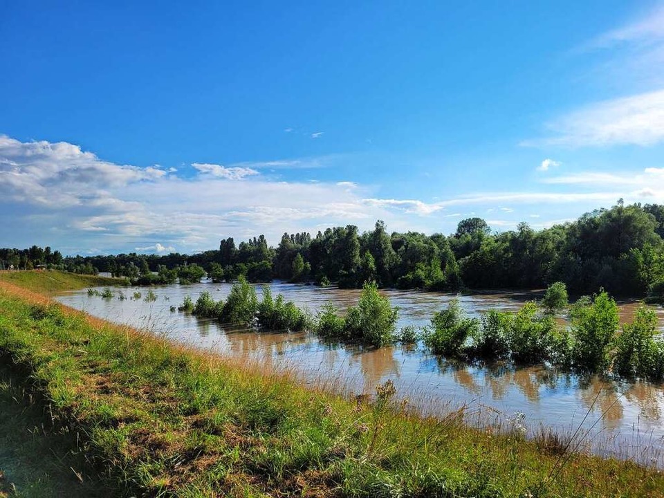 Beim Rheinhochwasser 1910 wuchs der Rhein zu einem reißenden Fluss ...