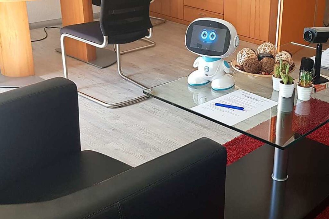 Sozial intelligente Roboter sollen die Pflege entlasten - Offenburg ...
