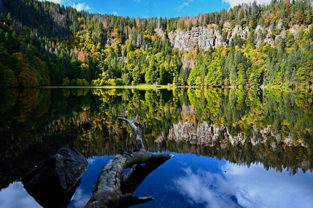 Der Mond über dem Feldberg ist das schönste Motiv - Titisee-Neustadt ...