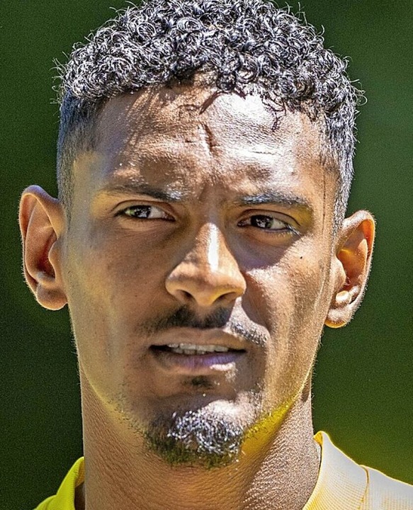 Haller-Schock für den BVB - 1. Bundesliga - Badische Zeitung