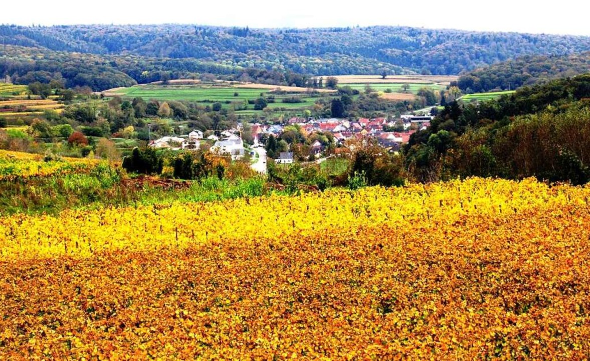 Bombach: Dem Kenzinger Ortsteil gehen die großen Projekte nicht aus ...