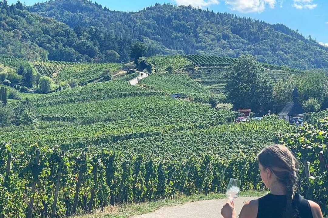 Genusswandern vorbei an Offenburger Reben in Topform - Offenburg ...