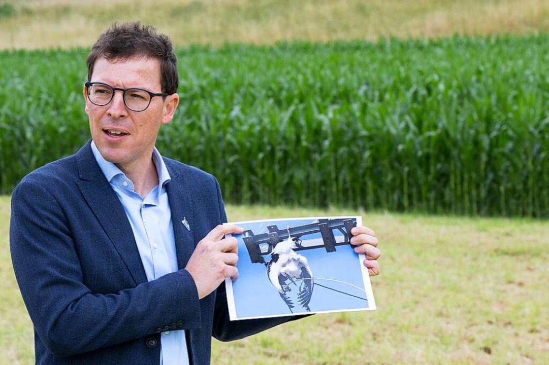 Nabu in Baden-Württemberg fordert mehr Geld für Artenschutz - Südwest ...