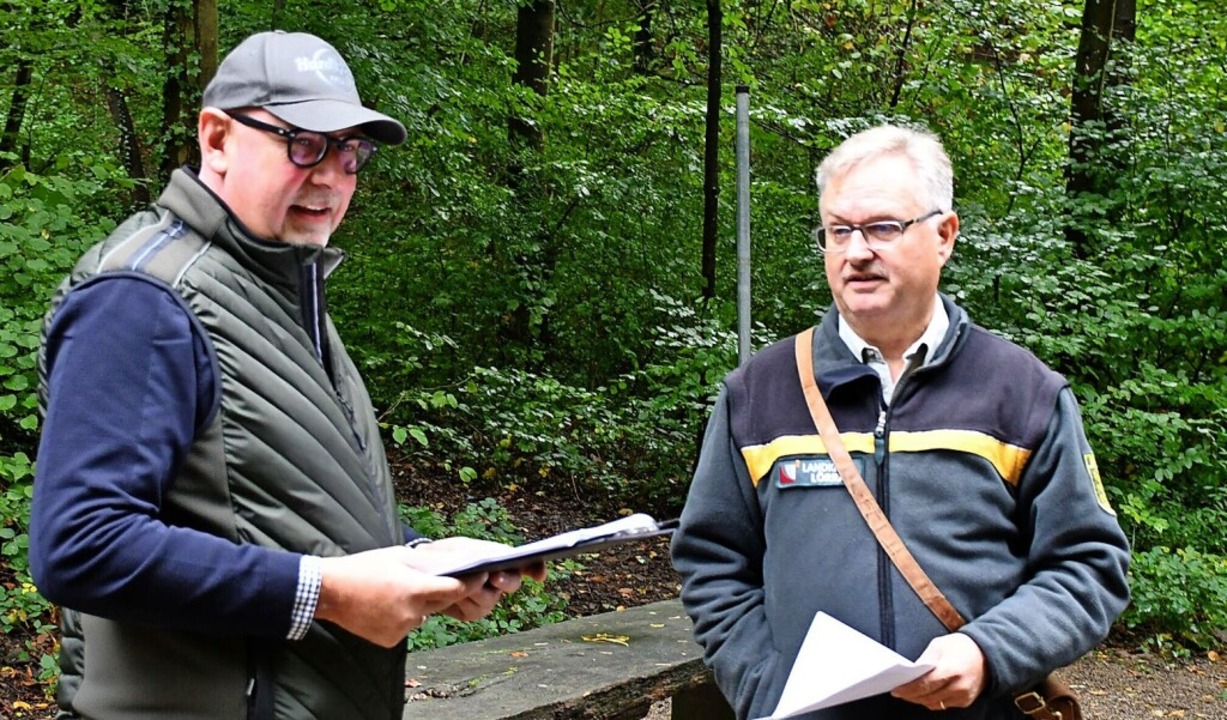 Von Neophyten und enorm gewachsenen Douglasien - Rheinfelden - Badische ...