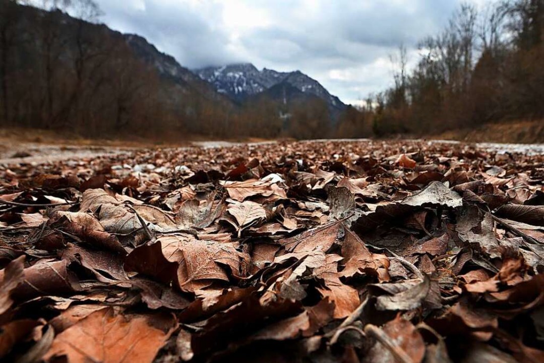 Klimawandel könnte Deutschland Hunderte Milliarden kosten - Deutschland - Badische Zeitung