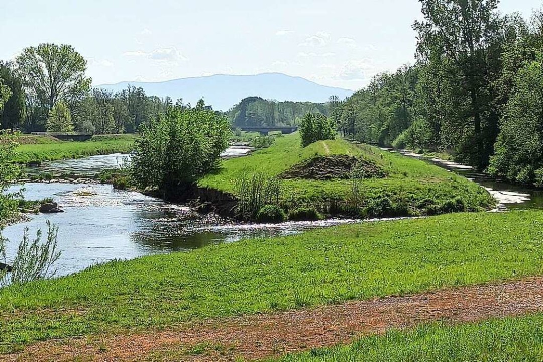 Gewässerführer möchten um Riegel das Interesse an der Vielfalt der ...