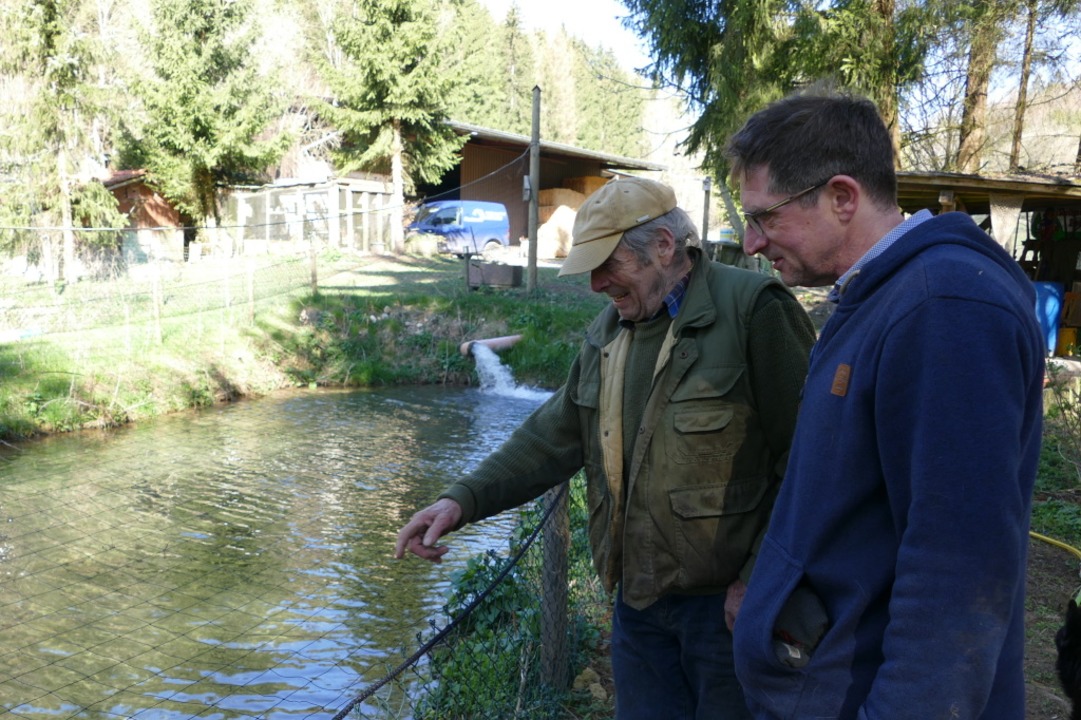Familie Asal aus Wutach züchtet in dritter Generation Forellen - Wutach ...