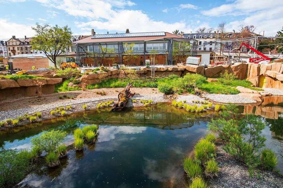 Basler Zoo eröffnet sein neues Vogelhaus am 3. Juni - Basel - Badische ...