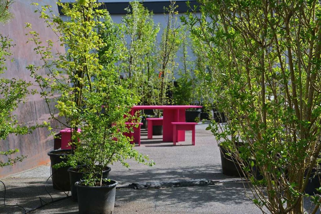 Kleine Bäume spenden Schatten in der Betonwüste auf dem Basler ...