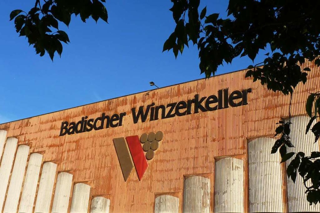 Badischer Winzerkeller Breisach will mehr Traubengeld zahlen ...