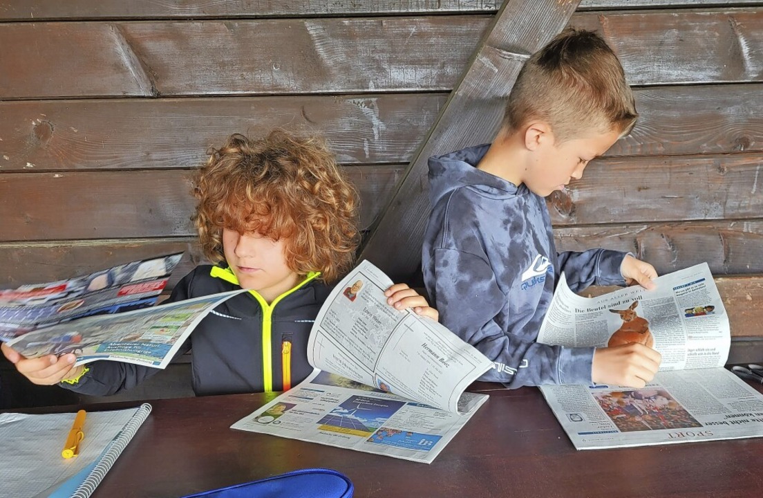 Unser Unterricht im Wald - Zisch-Texte - Badische Zeitung