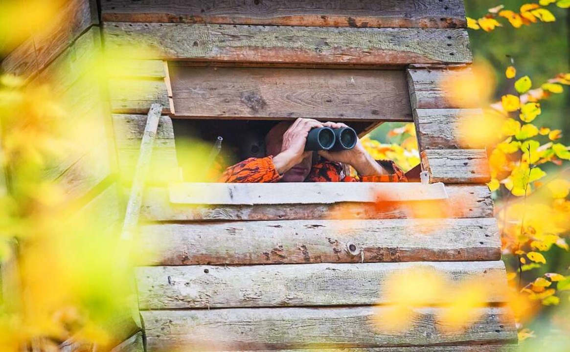 Kreisjägermeister: "Störungen im Wald haben zugenommen" - Müllheim - Badische Zeitung