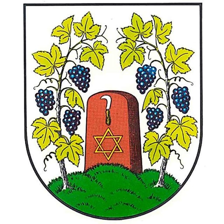 Grenzacher Wappenkunde: "Nur die Traube ist übrig geblieben" - Grenzach-Wyhlen - Badische Zeitung
