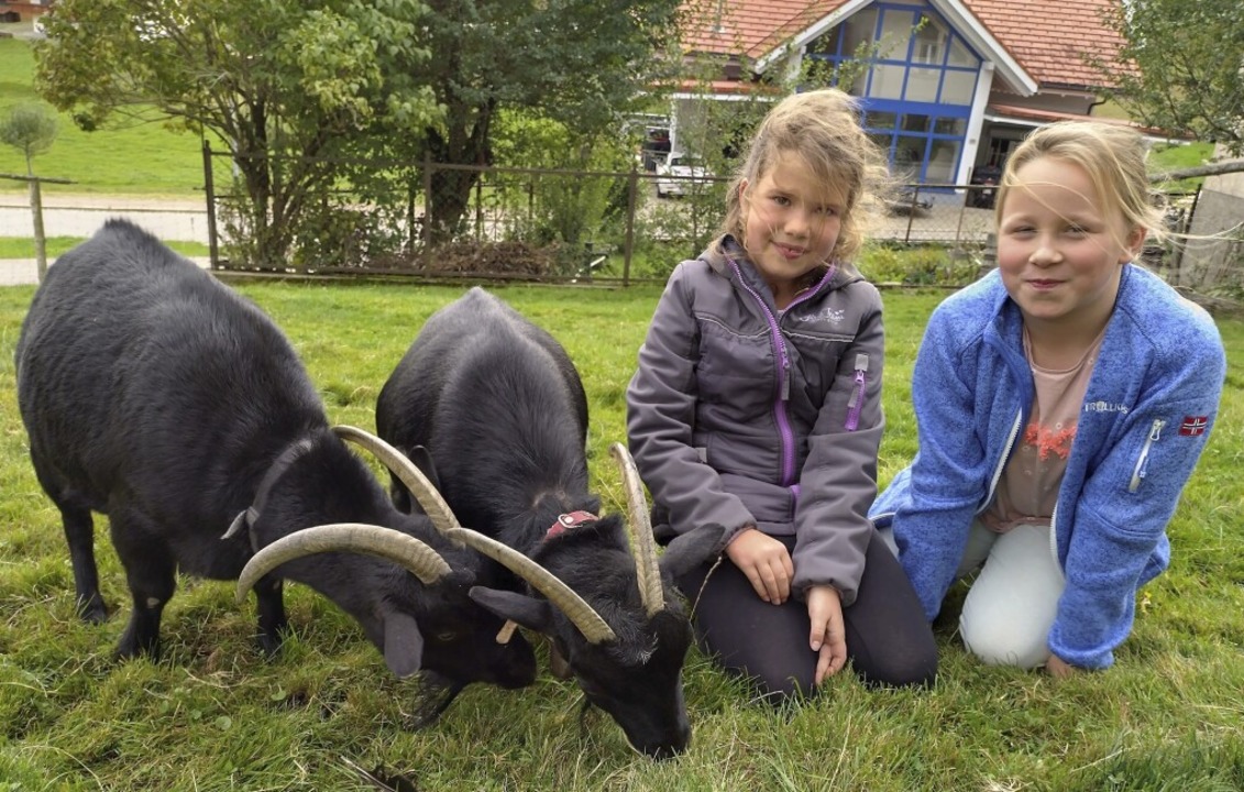 Unsere Zwergziegen Fleckle und Lilly - Zisch-Texte - Badische Zeitung