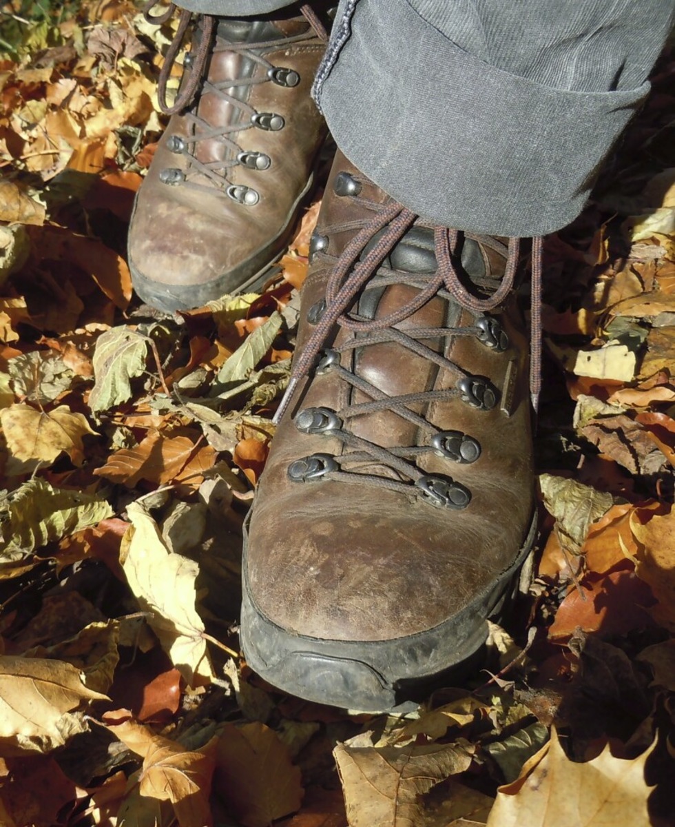 Der Schwarzwaldverein St. Blasien möchte Reißleine ziehen - St. Blasien ...