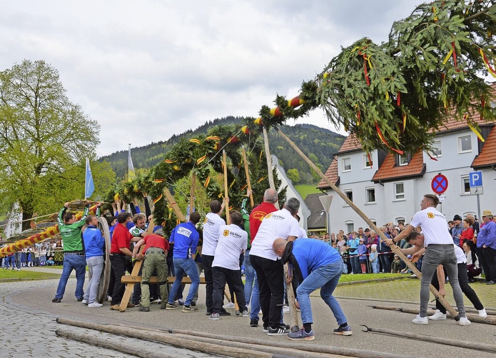 Traditionelles Maibaumstellen in Gutach-Bleibach - Schülertexte ...