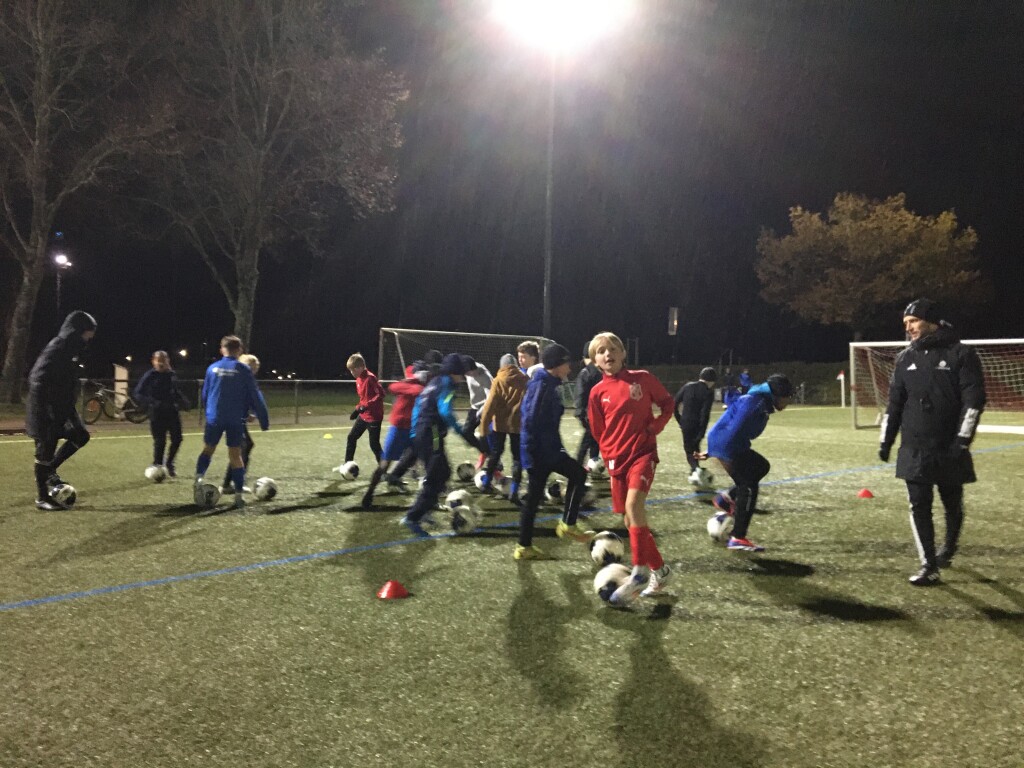 Der SV Kirchzarten ist ein DFB-Stützpunkt – hier trainieren die ...