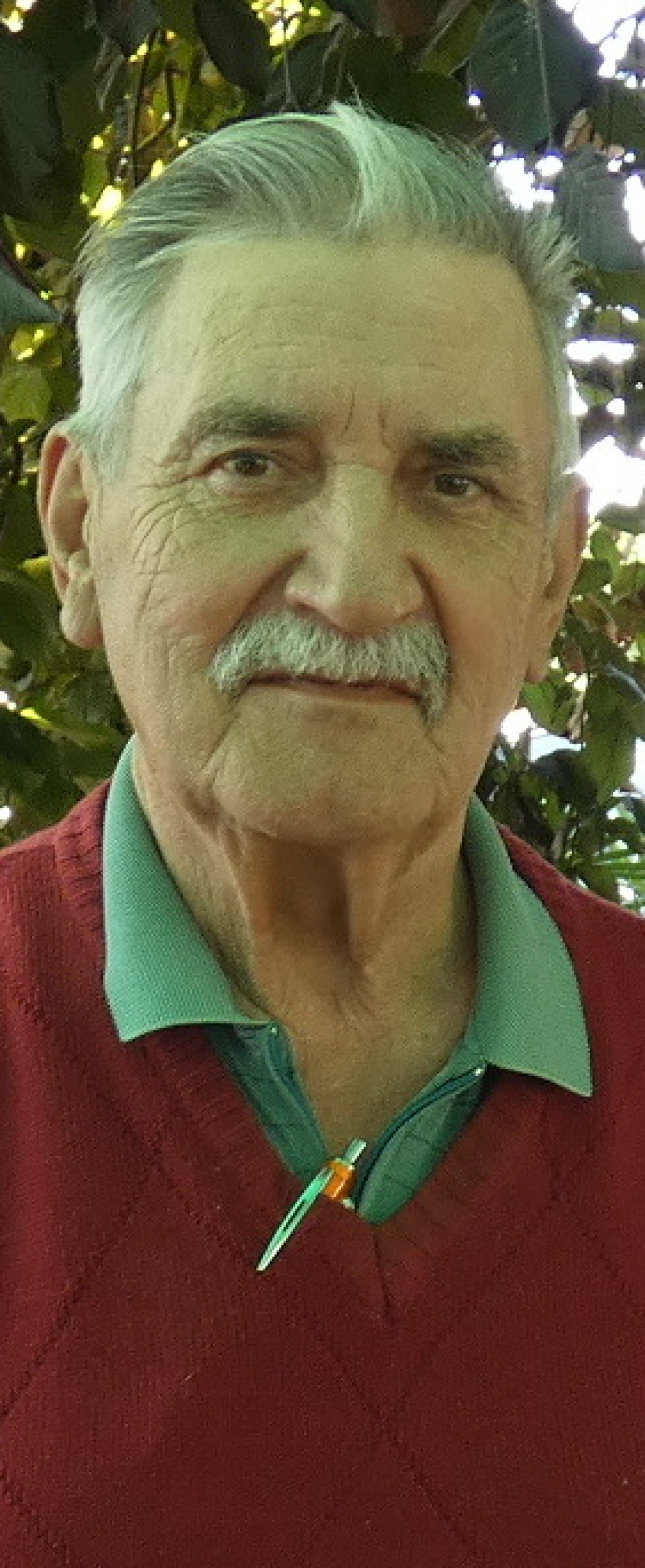 Gerhard Schulz wird 80 Jahre alt - Meißenheim - Badische Zeitung