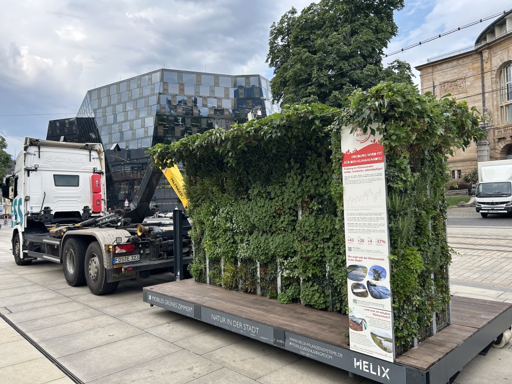 Coramaay x initial encounter meeting Sofia, not much that