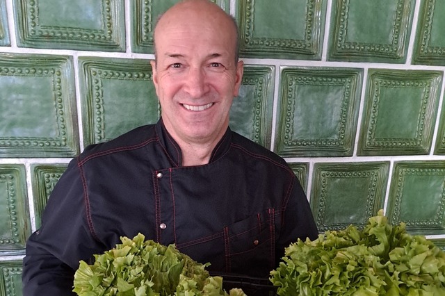 Mit der leicht bitteren Endivie lässt sich mehr als Salat zubereiten ...